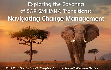 Exploring the Savanna of SAP S/4HANA Transitions: Navigating Change ...